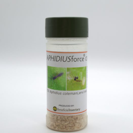 APHID CONTROL | Beneficial Insectary