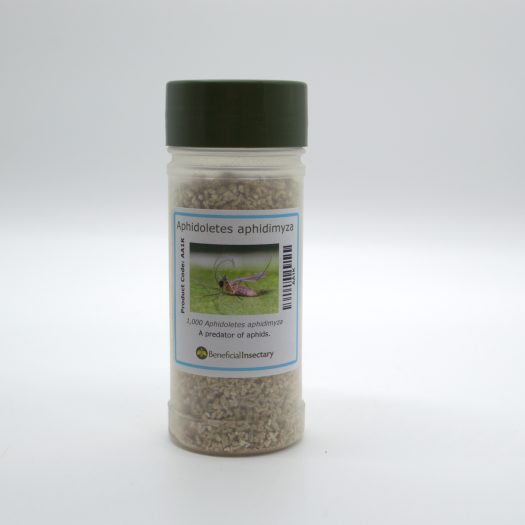 APHID CONTROL | Beneficial Insectary
